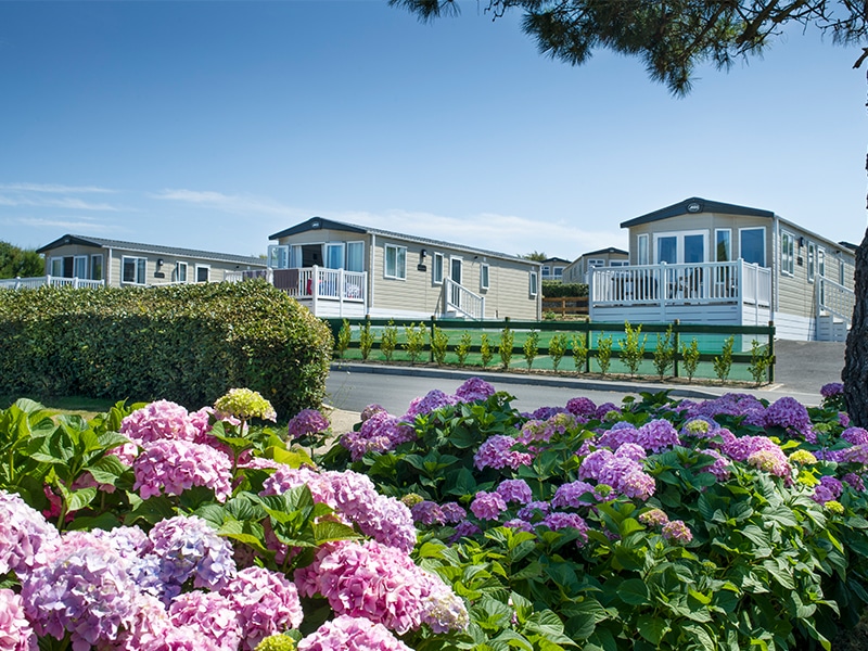 We are Reopening! | Trevornick Holiday Park