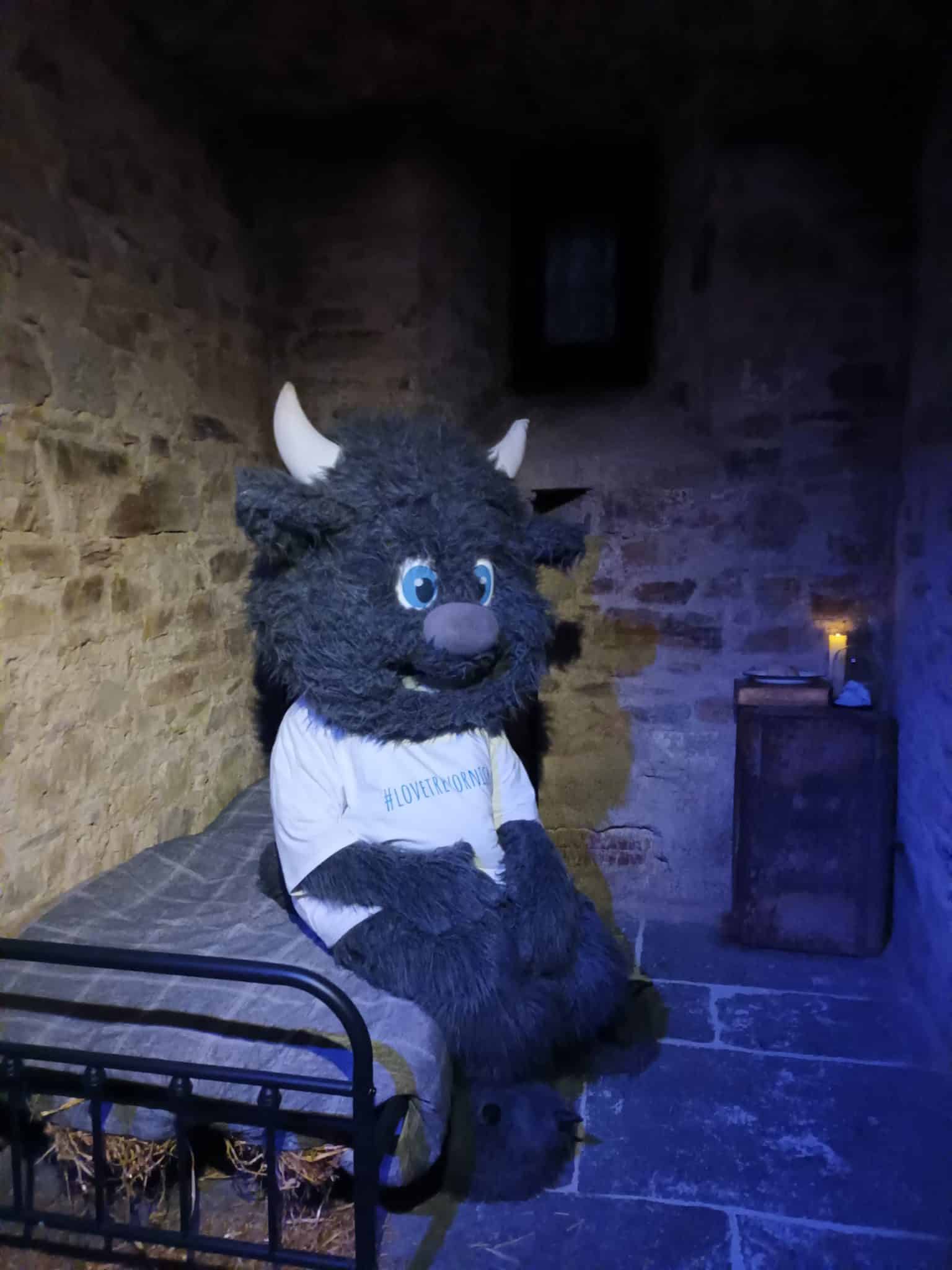 Wild Thing Recommends: Bodmin Jail | Trevornick Holiday Park
